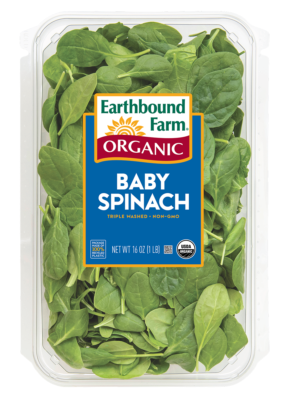 Fresh Organic Baby Spinach Earthbound Farm Organic Since 1984 Fresh Organic Baby Spinach Earthbound Farm Organic Since 1984