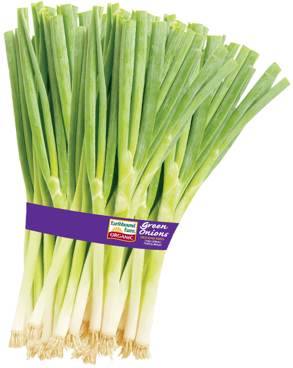 Organic Green Onion - earthboundfarm